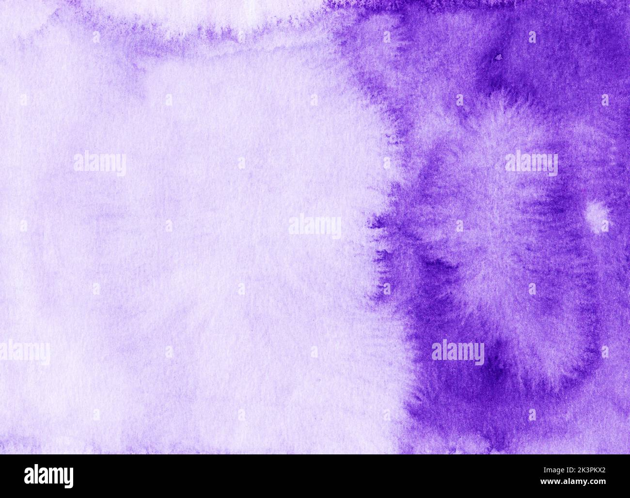 Watercolor old violet and white gradient background. Stains on paper ...