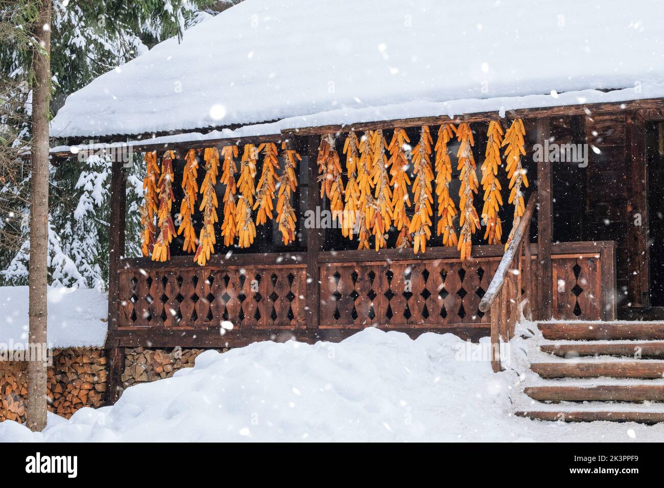 Rustic house in village near the forest. Authentic traditional culture ...