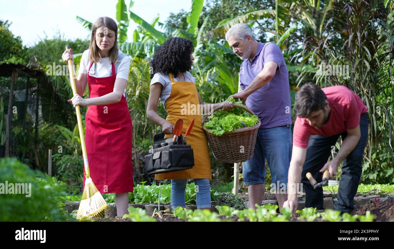 Urban gardeners growing community farming holding organic basket with ...