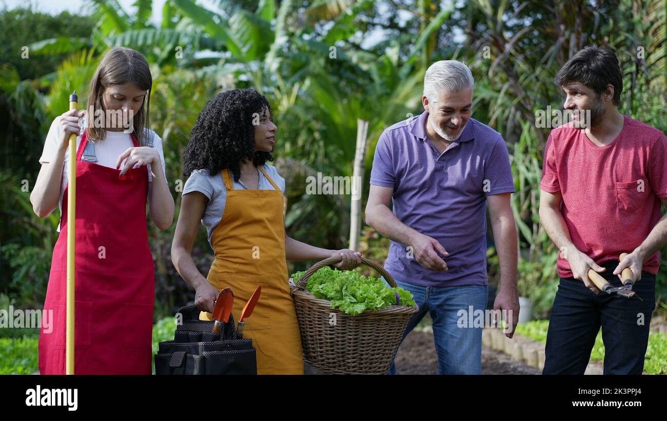 Group gardeners picking harvest hi-res stock photography and images - Alamy