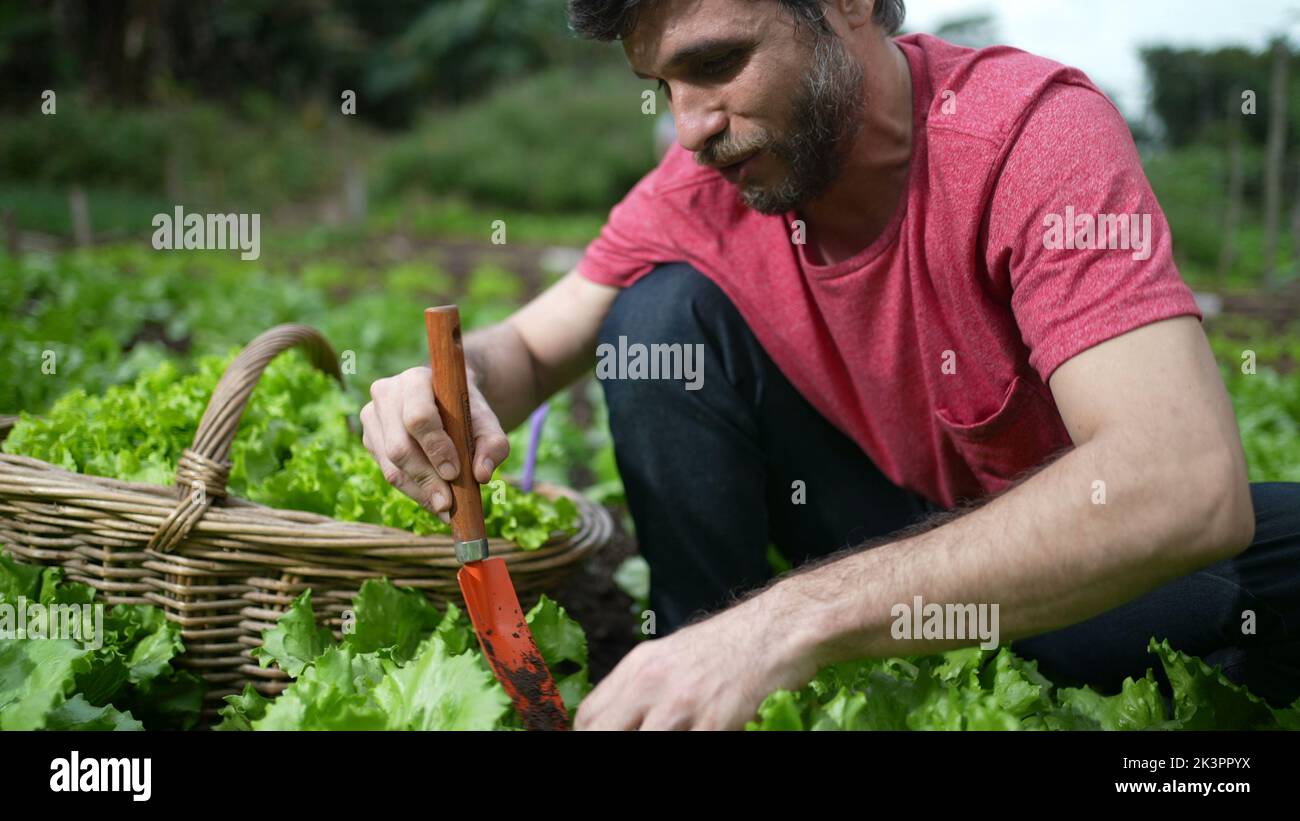 Young man cultivating soil at organic small farm. Person using ...