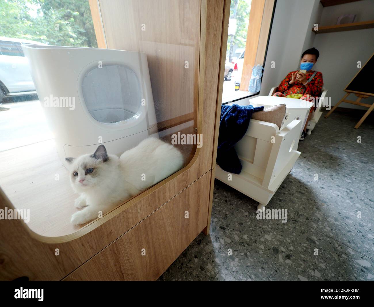BEIJING, CHINA - SEPTEMBER 28, 2022 - Readers read inside a pet-themed ...