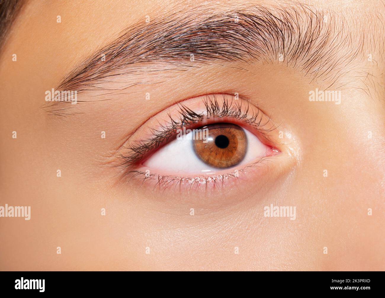Beautiful insightful look brown eyes. Close up shot Stock Photo - Alamy Beautiful insightful look brown eyes. Close up shot Stock Photo - Alamy