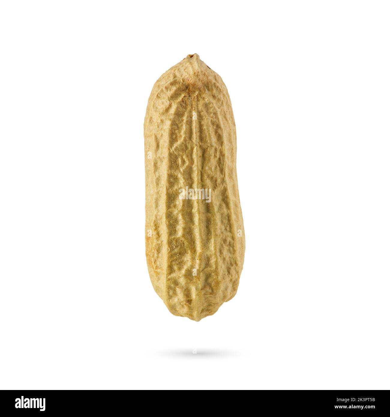 Peanuts isolated on white background, as design element Stock Photo - Alamy