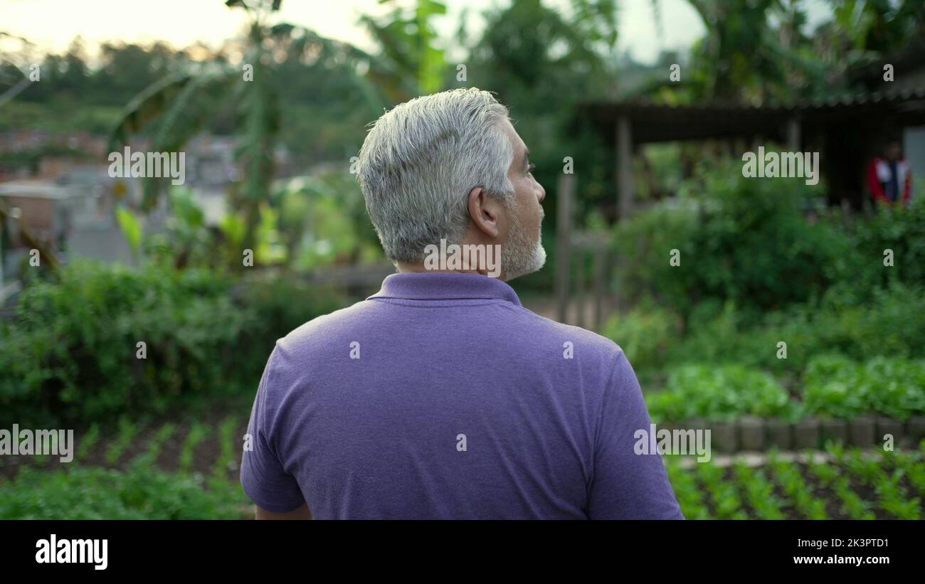 Back of older man walking in small farm. Senior farmer walks forward in ...