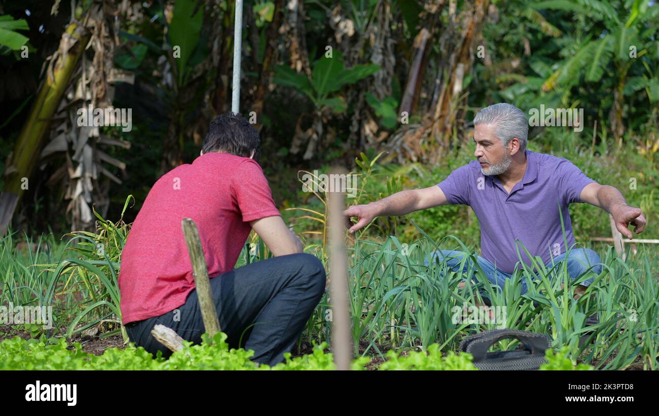 Community urban farmers at small local organic farm. Group of people ...