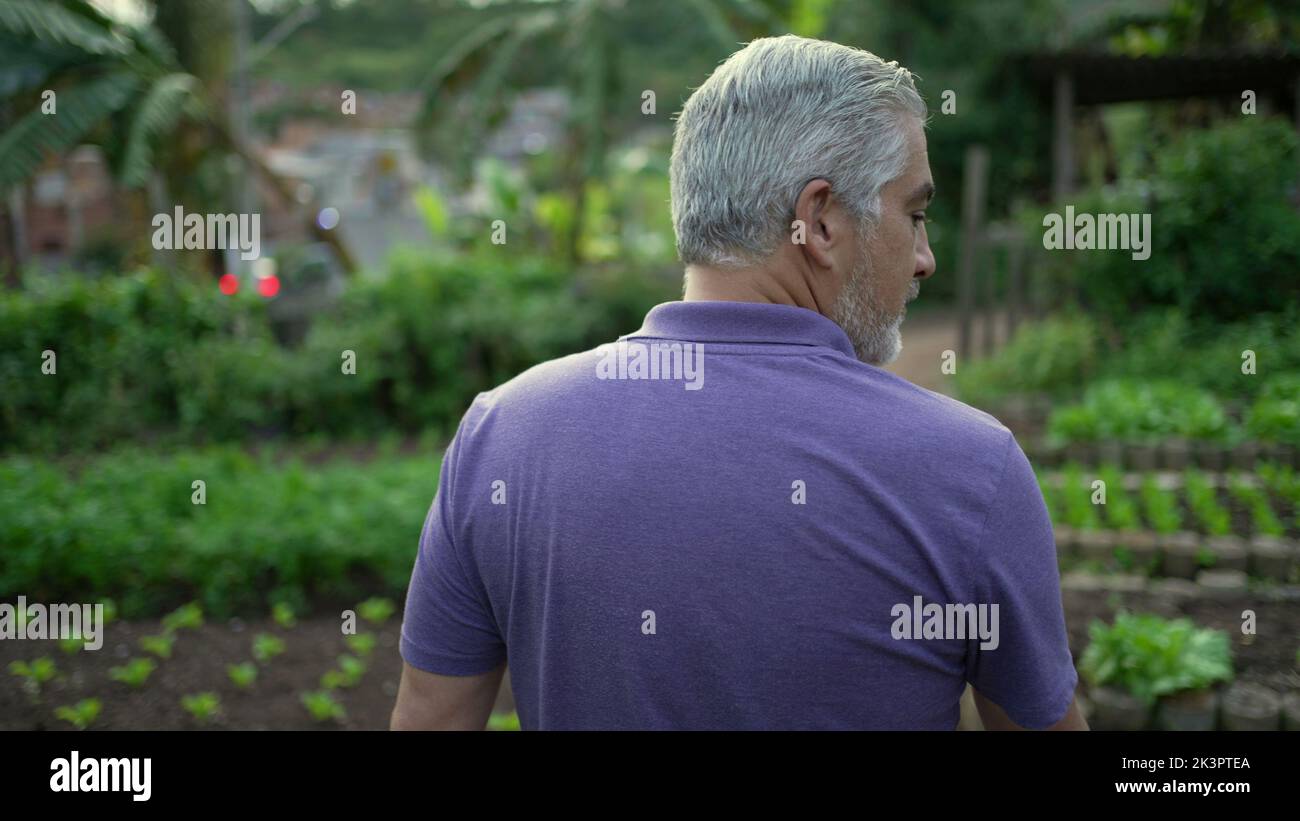 Back of older man walking in small farm. Senior farmer walks forward in ...