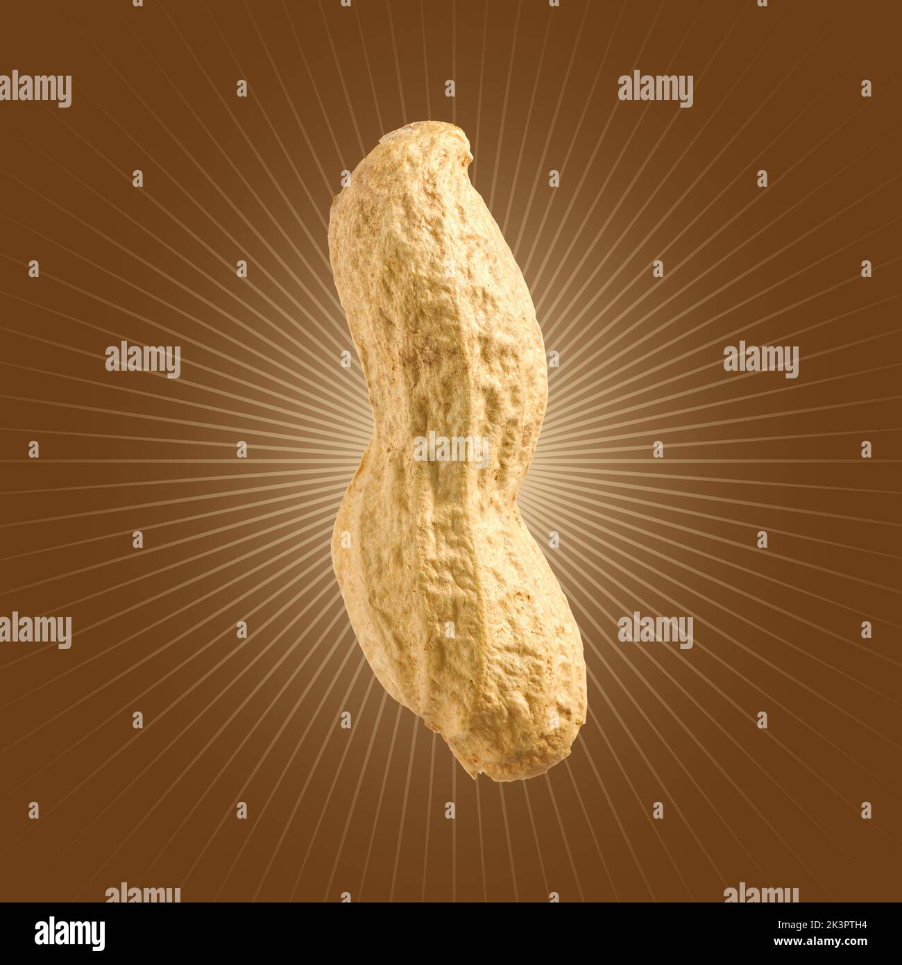 Peanuts on brown gradient background. used for design element ...