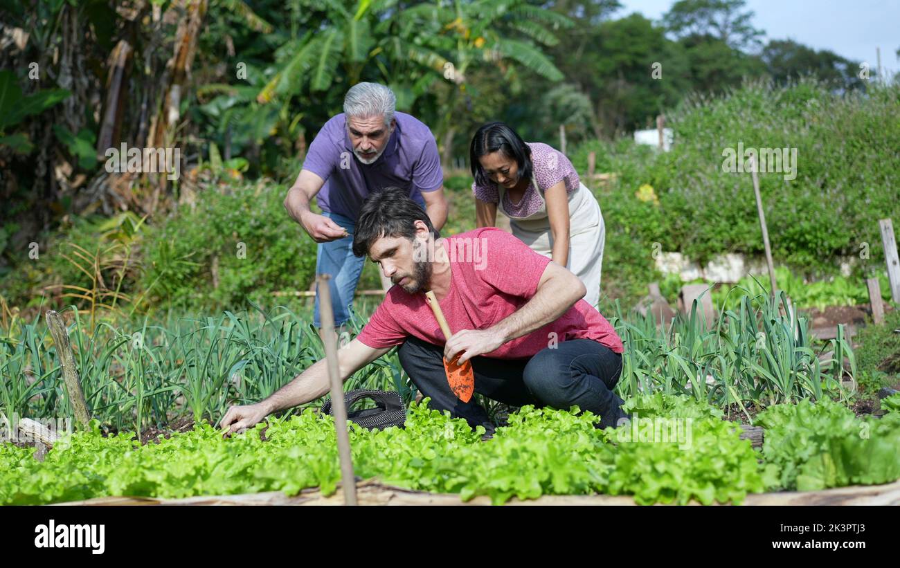 Community urban farmers at small local organic farm. Group of people ...