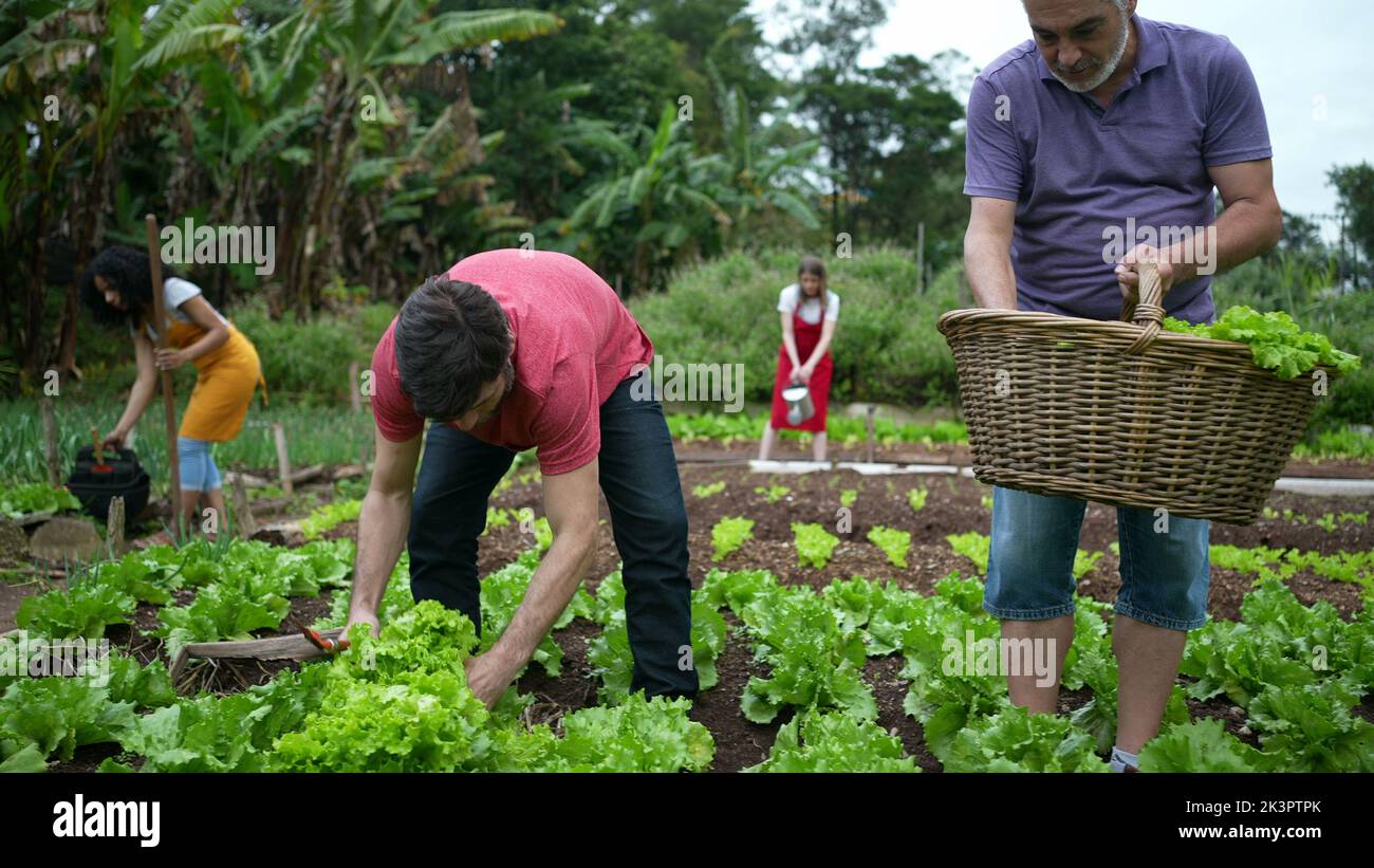 Organic Food Community Group Of Community Farmers Cultivating Organic