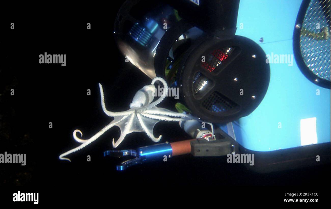 Deep Ocean Octopus & Rov Bot 1 Film: Aliens Of The Deep (2005) Director ...