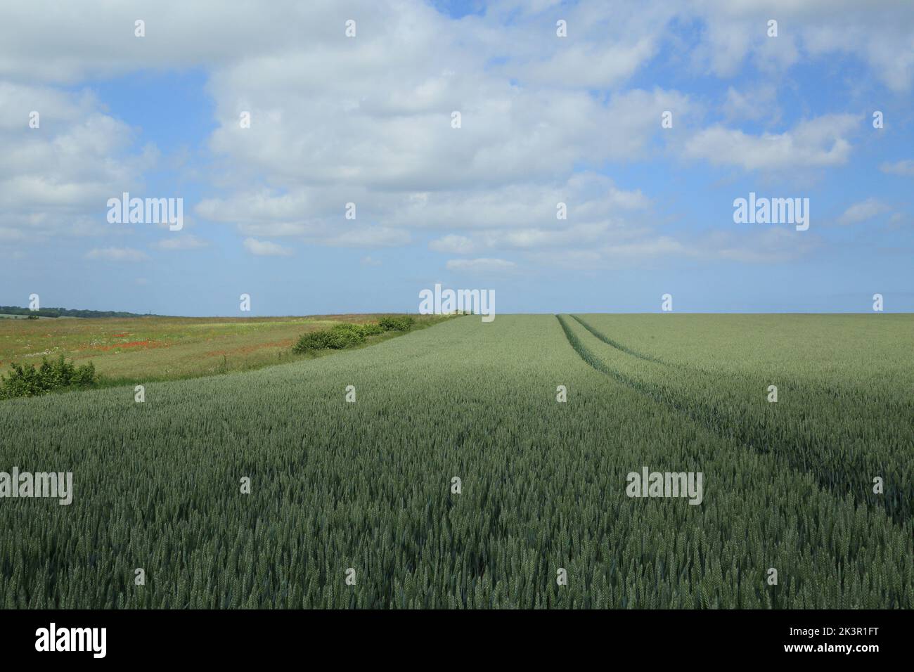 Uk crop marks hi-res stock photography and images - Alamy