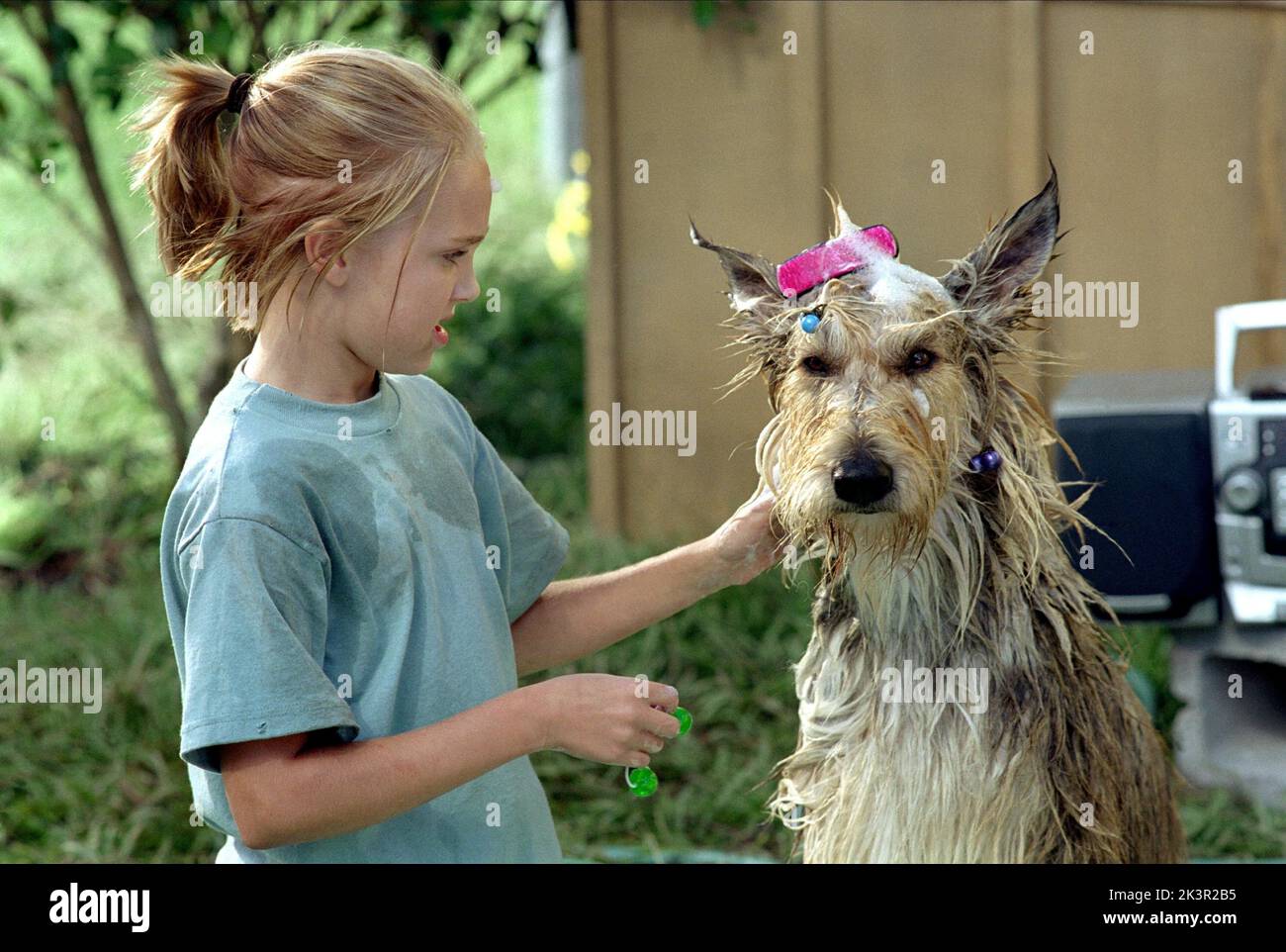 Because of winn dixie movie hi-res stock photography and images - Alamy