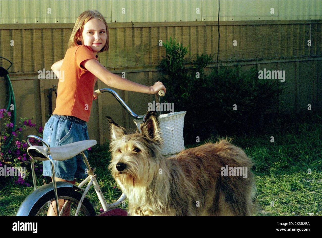 Annasophia Robb Film: Because Of Winn-Dixie (USA 2005) Characters: Opal / Literaturverfilmung ...