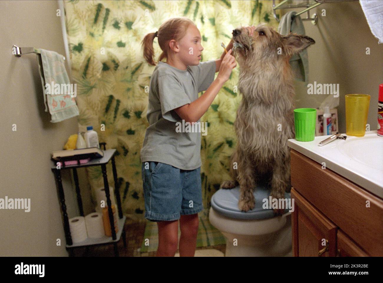 Dixie toilet hi-res stock photography and images - Alamy