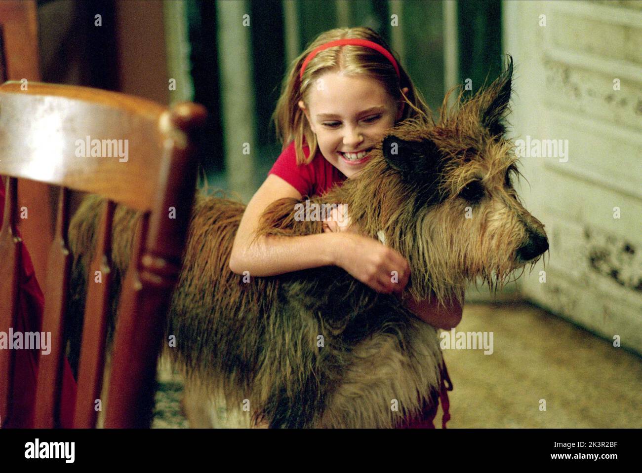 Annasophia Robb Film: Because Of Winn-Dixie (USA 2005) Characters: Opal / Literaturverfilmung ...