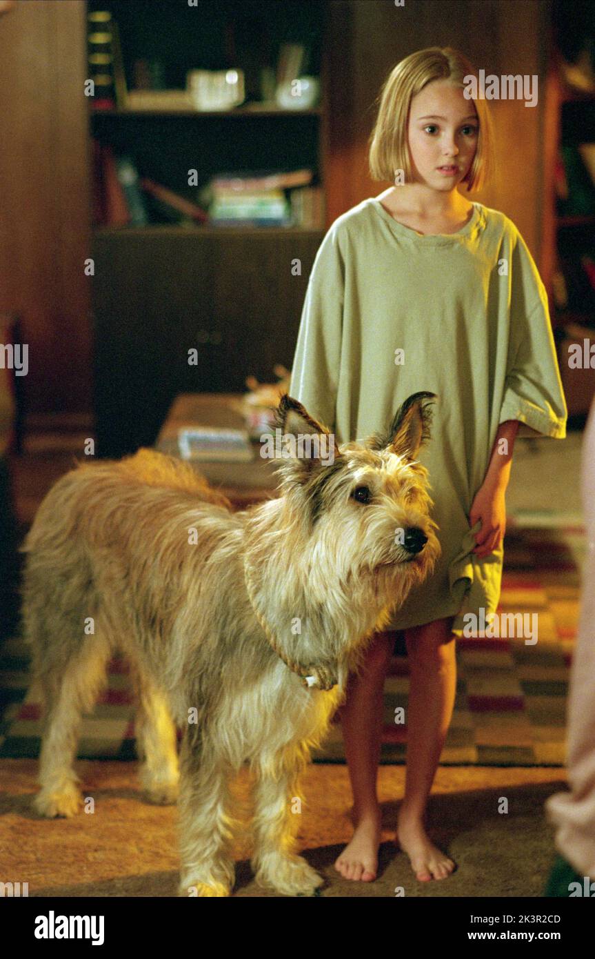 Because of winn dixie movie hi-res stock photography and images - Alamy