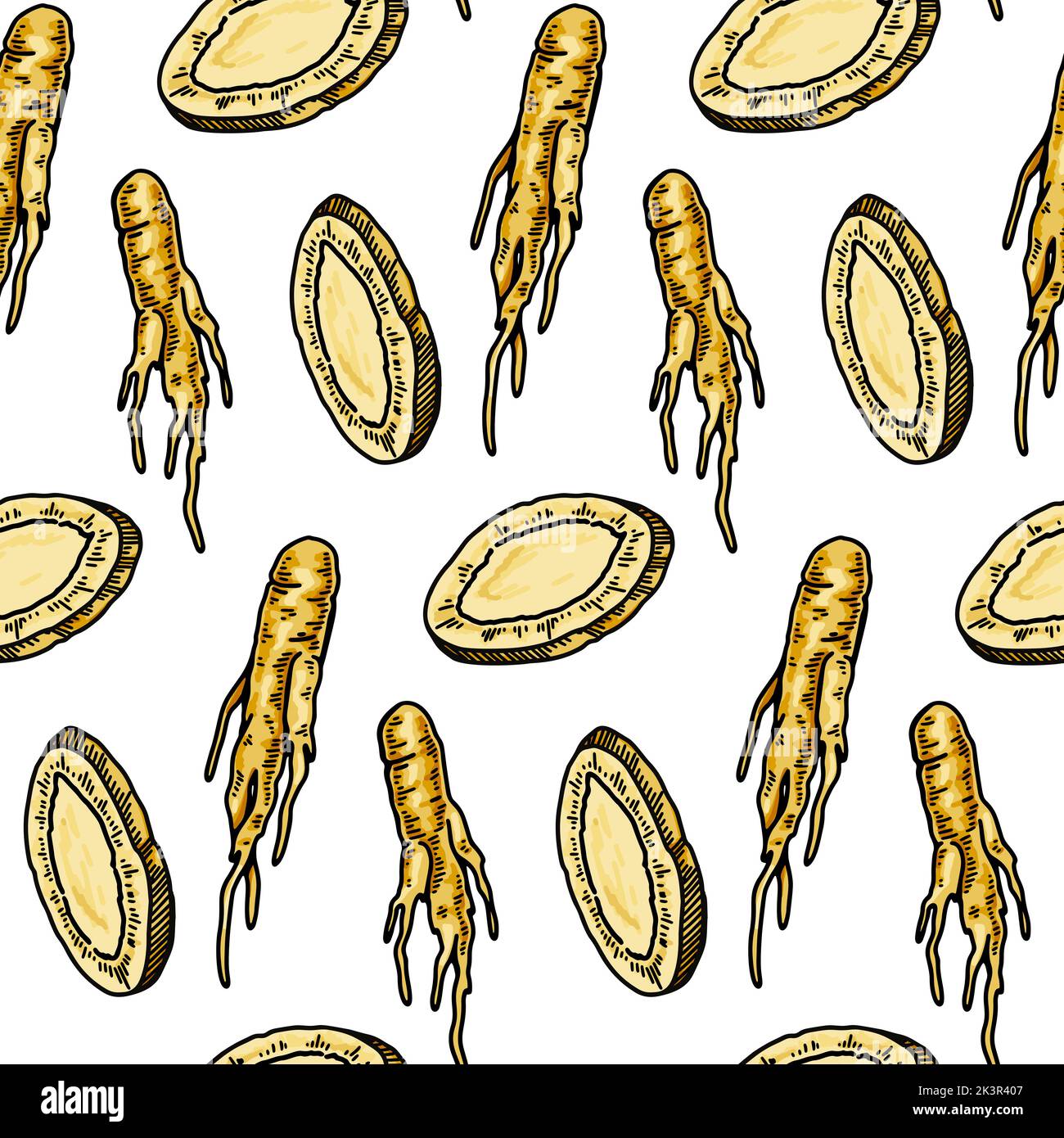 Colorful Hand drawn ginseng seamless pattern. Vector illustration in ...