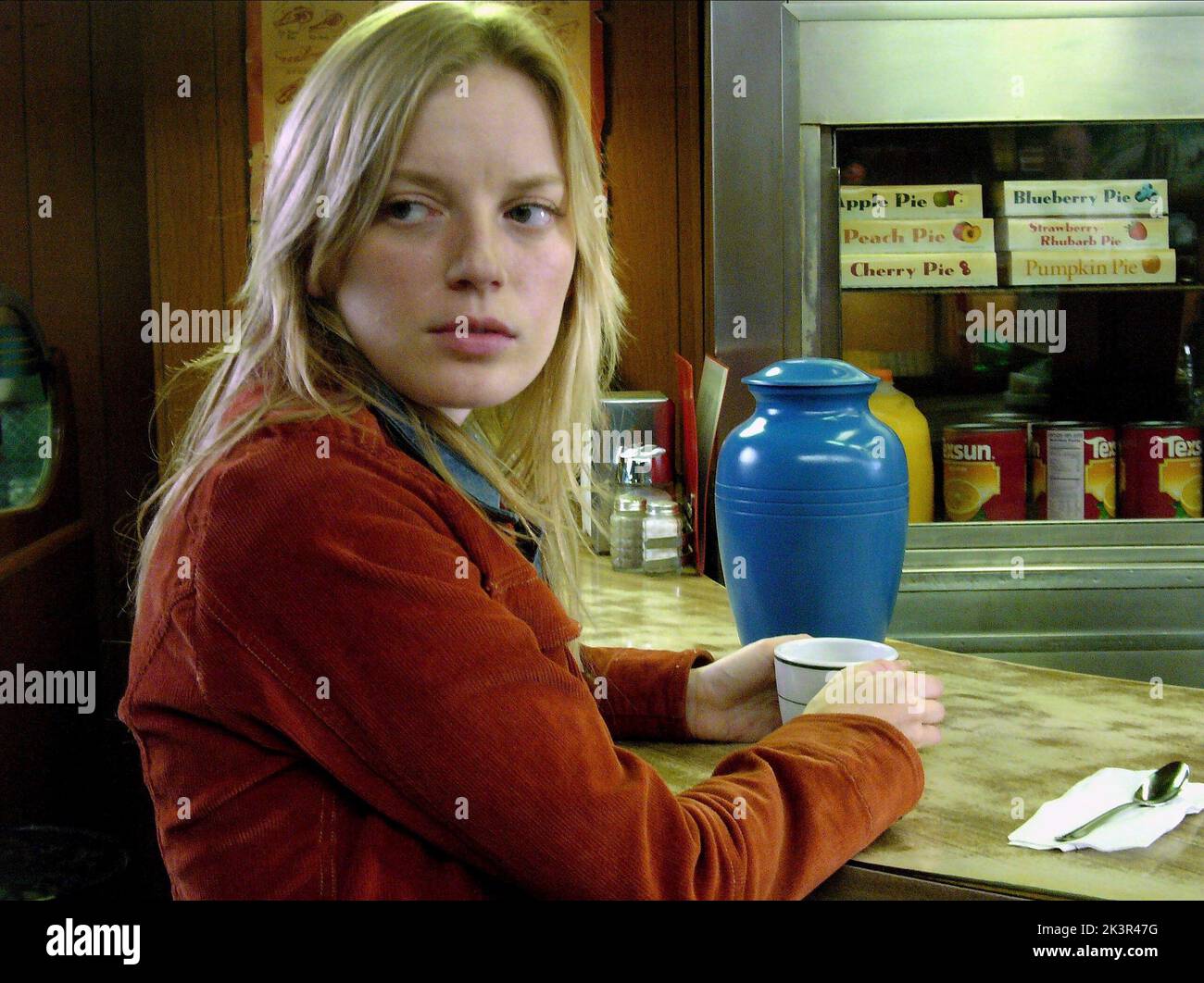 Sarah Polley Film: Don'T Come Knocking (USA/UK/FR/DE 2005) Characters ...