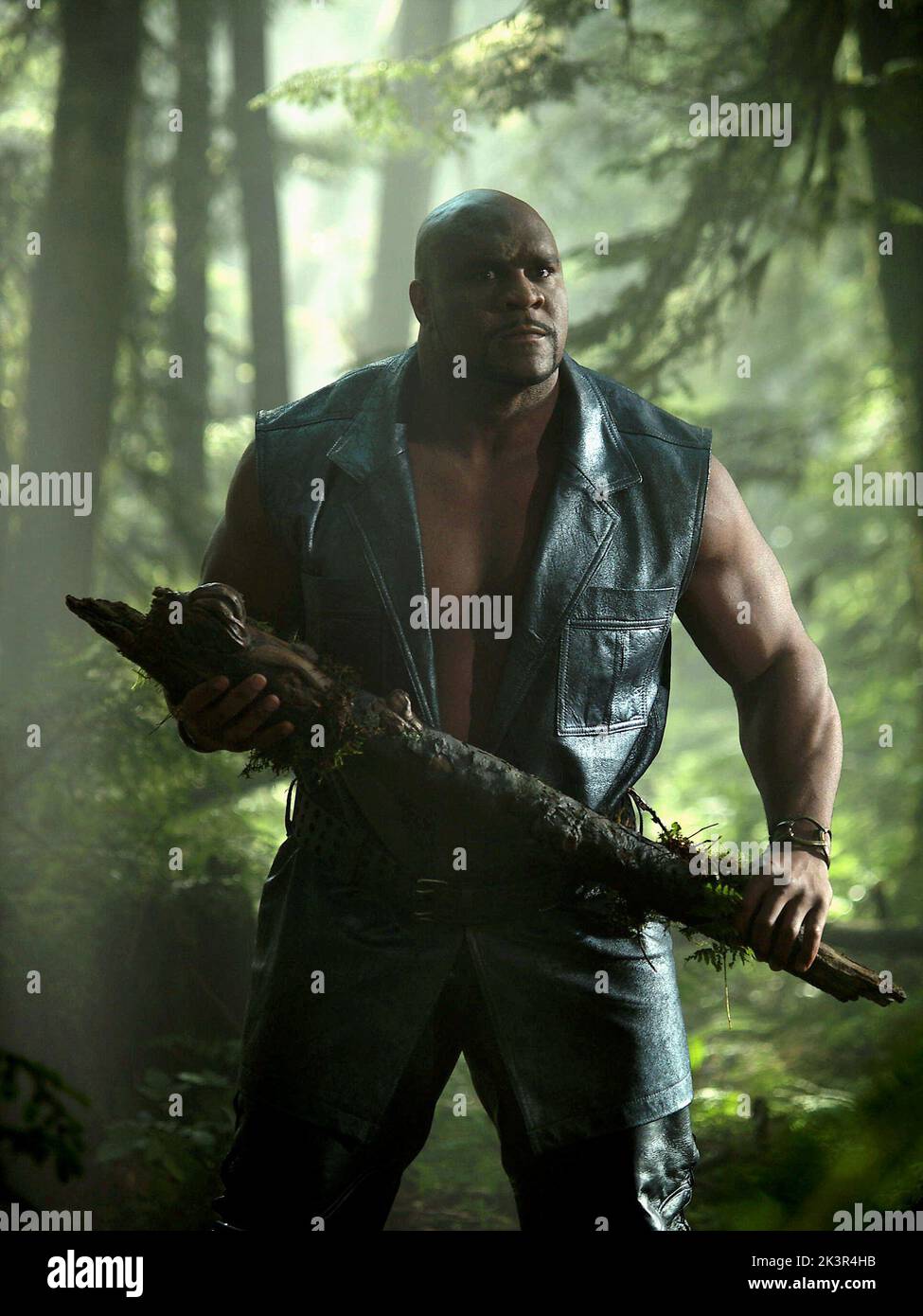 Bob Sapp Film: Elektra (2005) Characters: Stone Director: Rob Bowman 13 ...