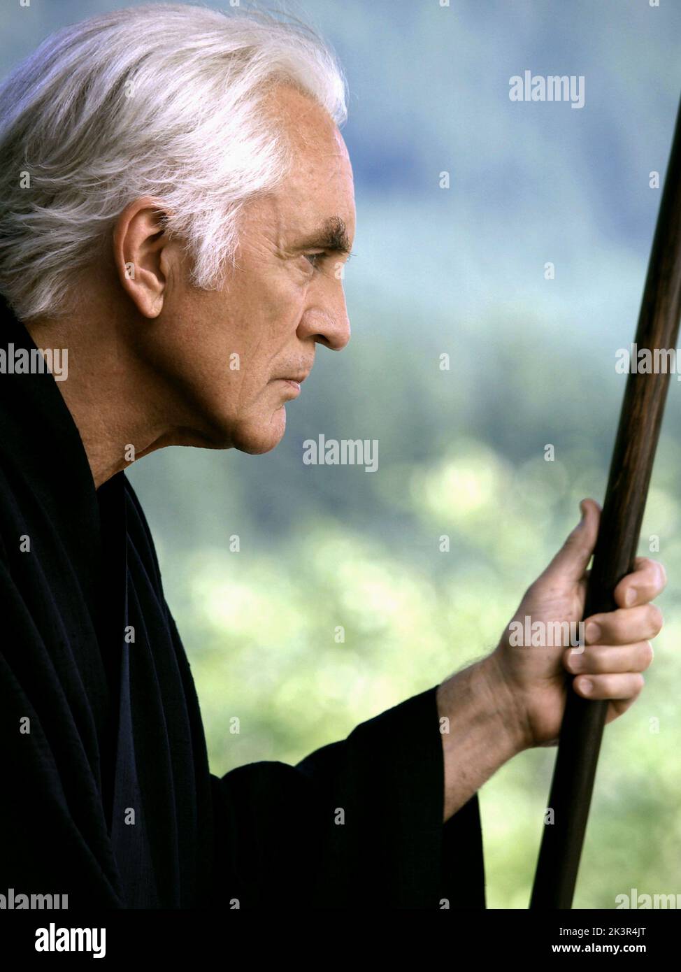 Terence Stamp Film: Elektra (2005) Characters: Stick Director: Rob ...