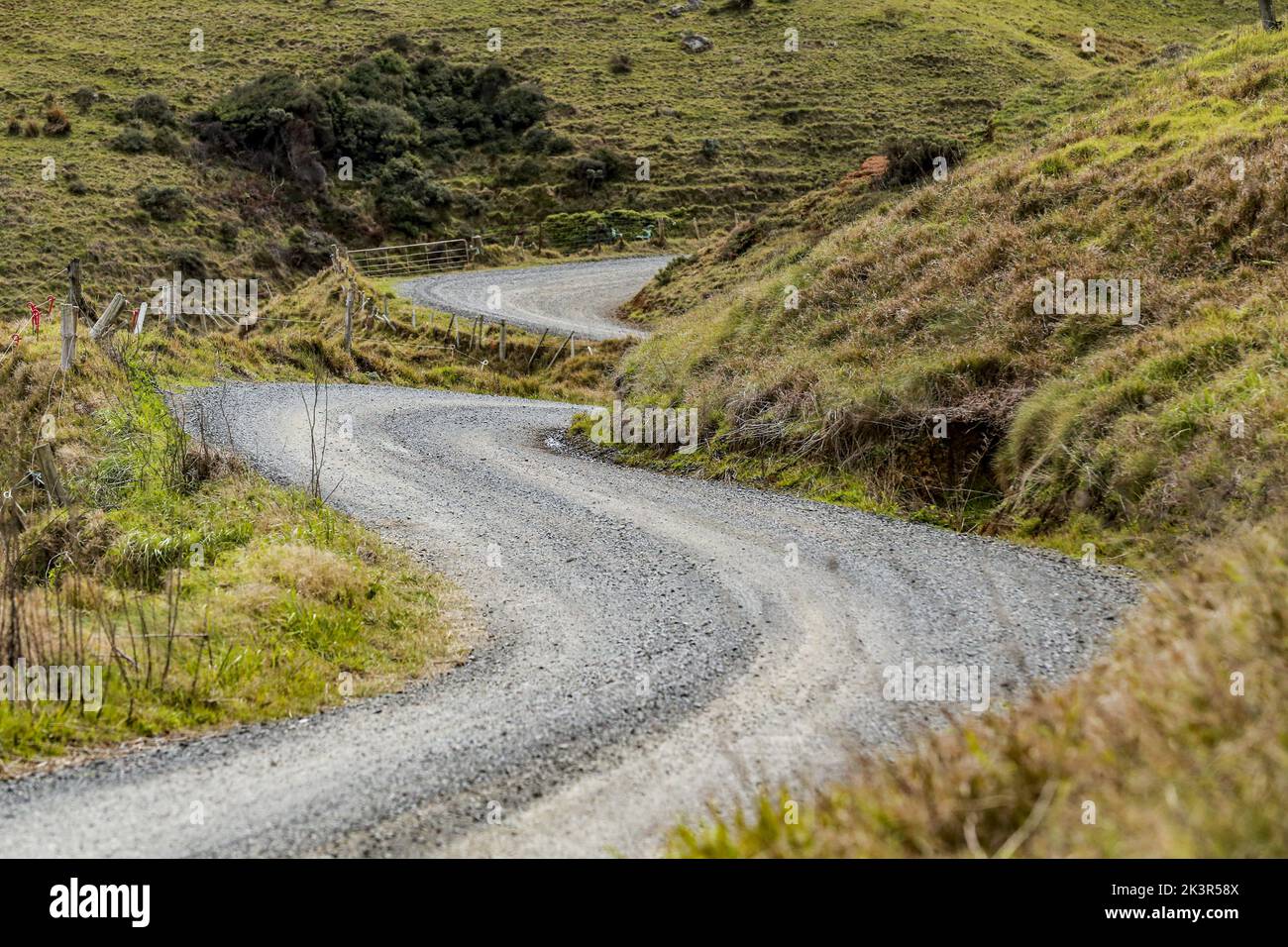 Auckland, New Zealand - 28/09/2022, ambiance during the Rally New ...