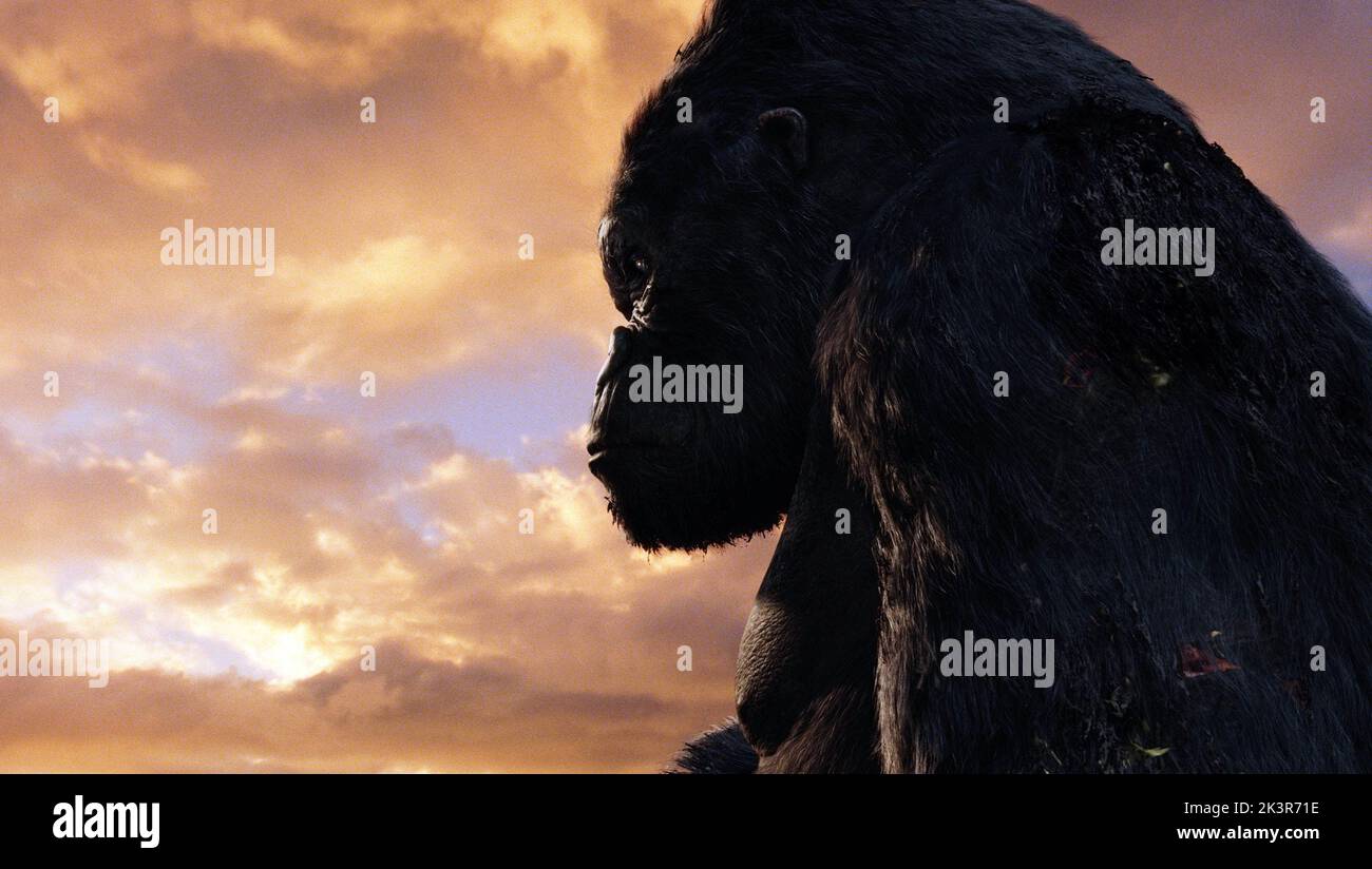 King Kong Film: King Kong (USA/NZ/DE 2005) Director: Peter Jackson 05 ...
