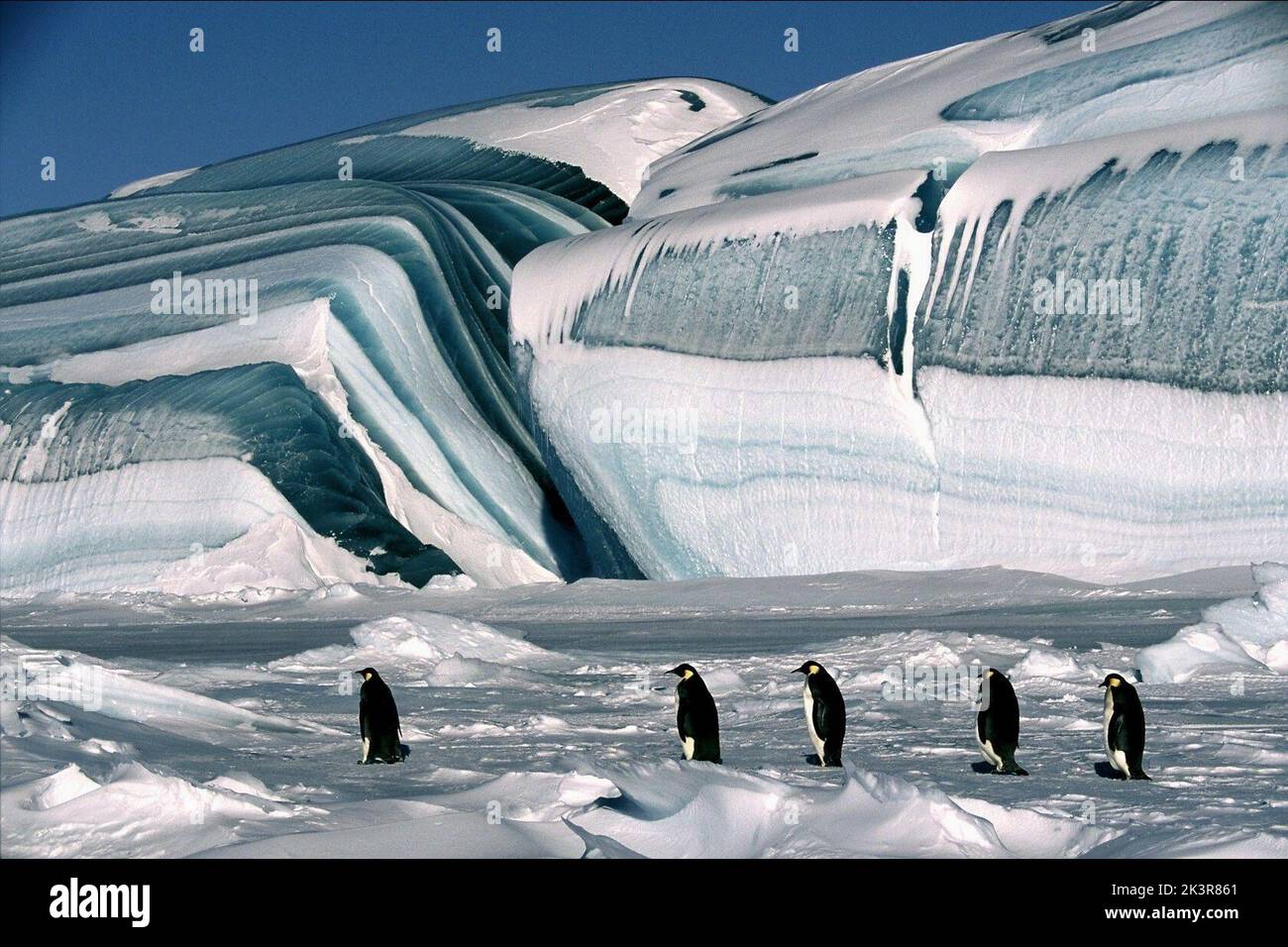 Antarctic Emperor Penguins Film: March Of The Penguins; The Emperor'S ...