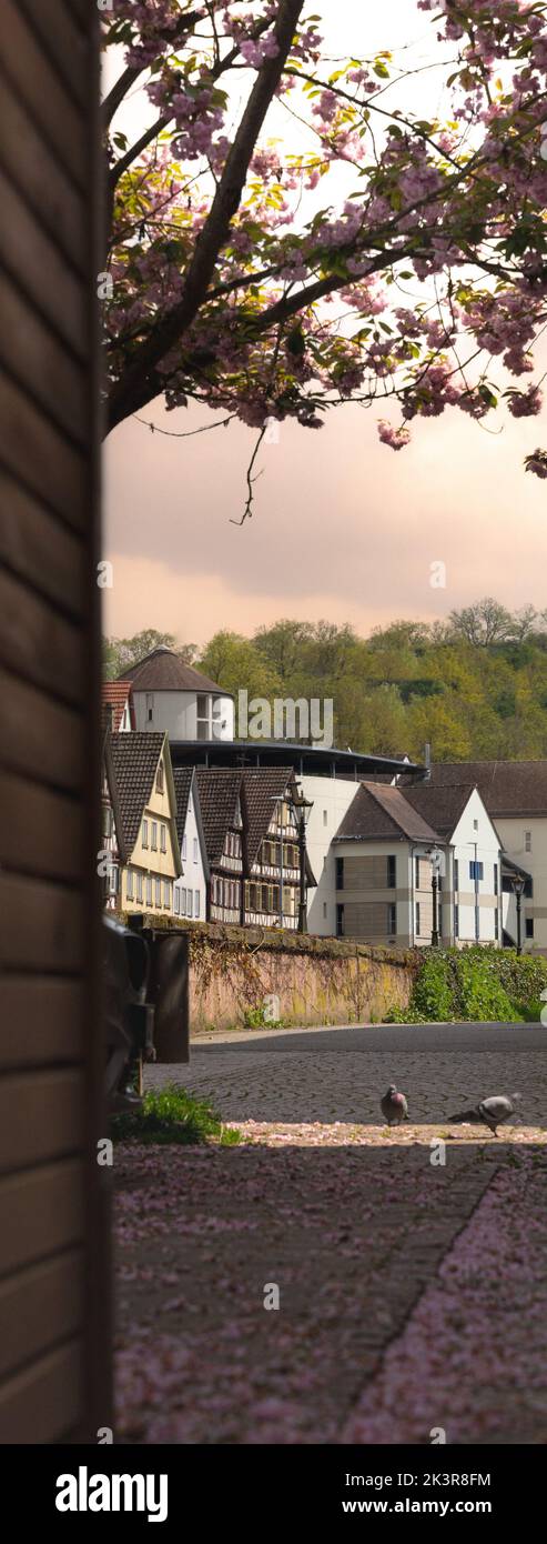 A vertical shot of the beautiful buildings of the Calw town and a ...