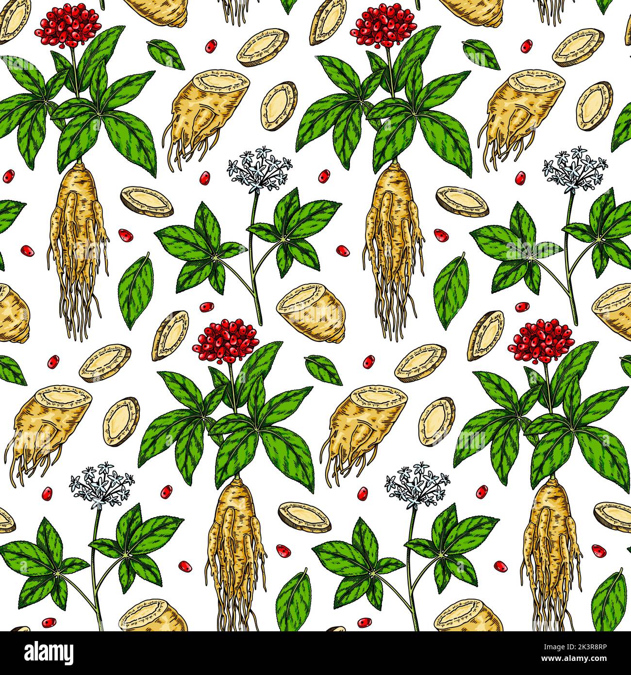 Colorful Hand drawn ginseng seamless pattern. Vector illustration in ...