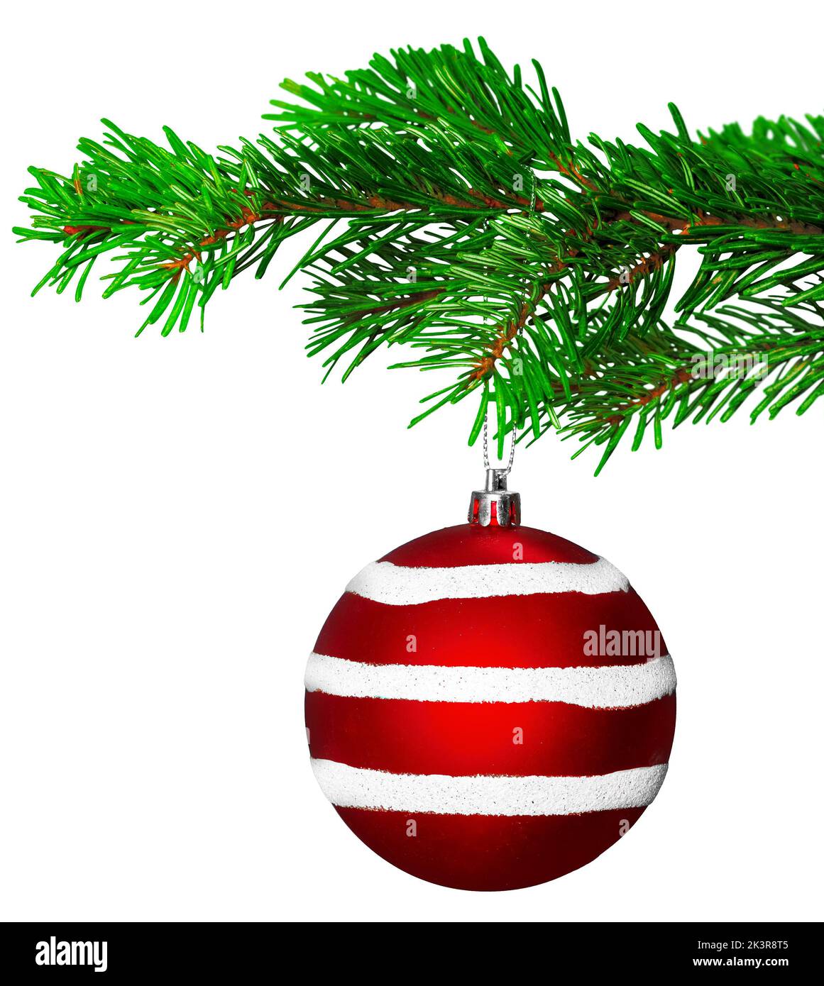 christmas ball on fir branch isolated on white background Stock Photo ...