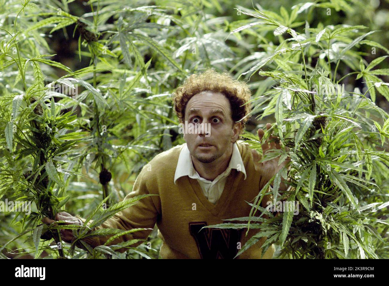 John Kassir Ray Rocket