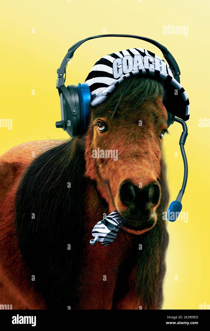 Tucker The Pony Film: Racing Stripes (2005) Director: Frederik Du Chau ...