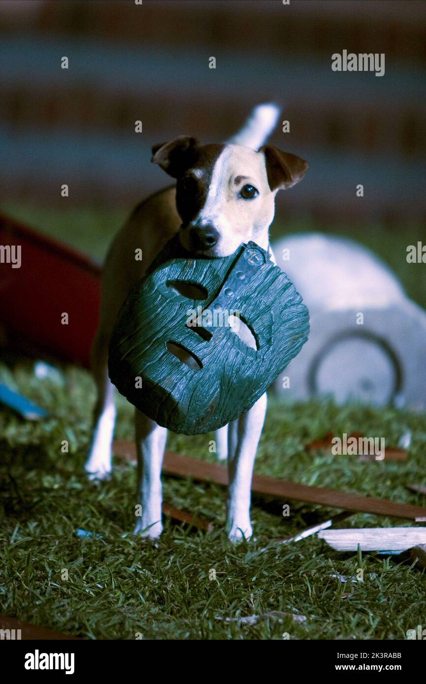 Otis Film: Son Of The Mask (2005) Characters: Otis Director: Lawrence ...