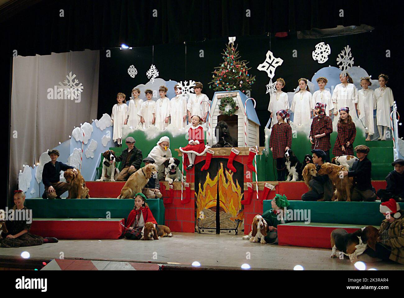 The 12 Dogs Of Christmas 2005