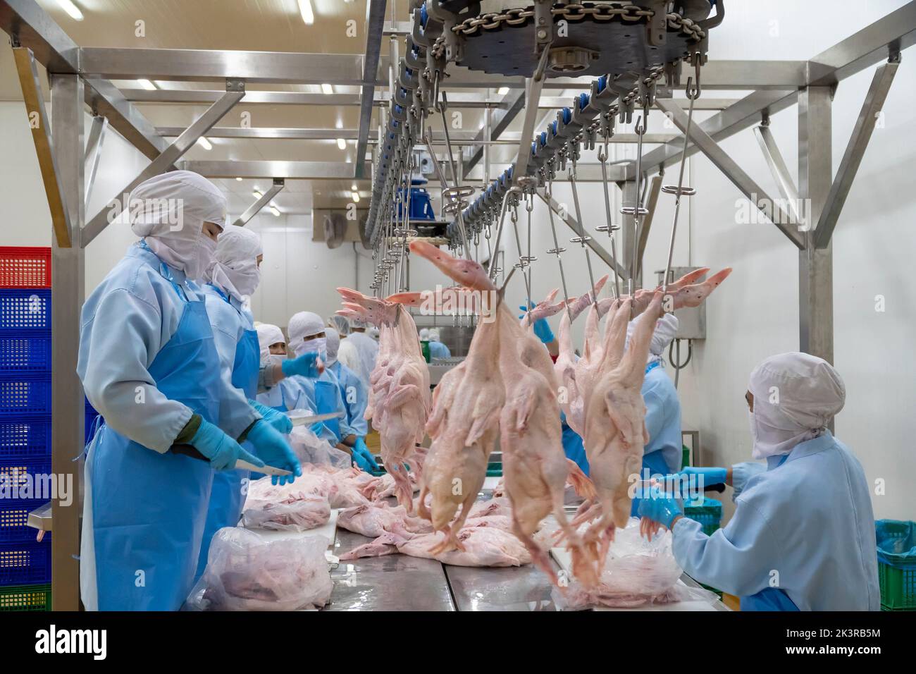 Several factory employees workers, in the production process of ...