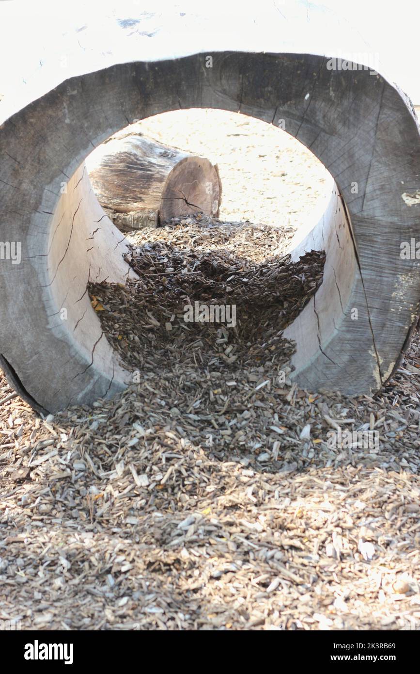 A hollowed out tree trunk used as a natural play area for little ...