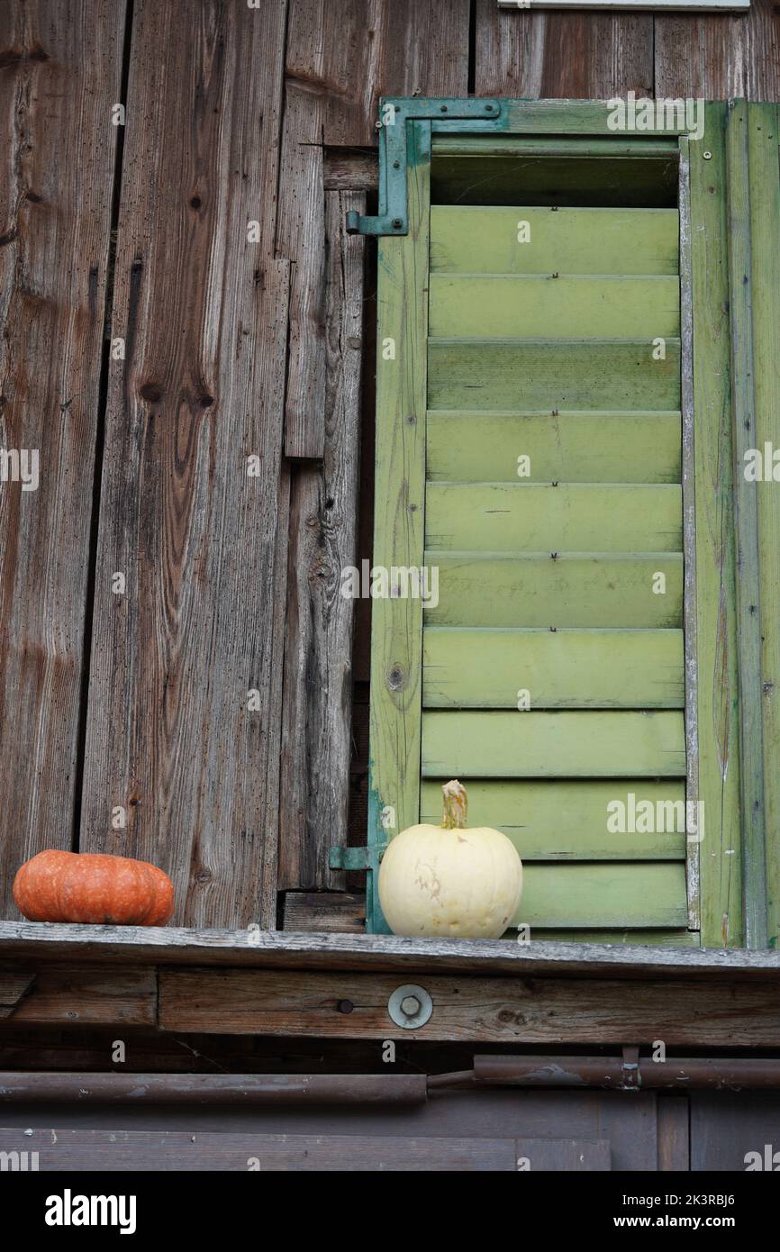 Many shutters hi-res stock photography and images - Alamy