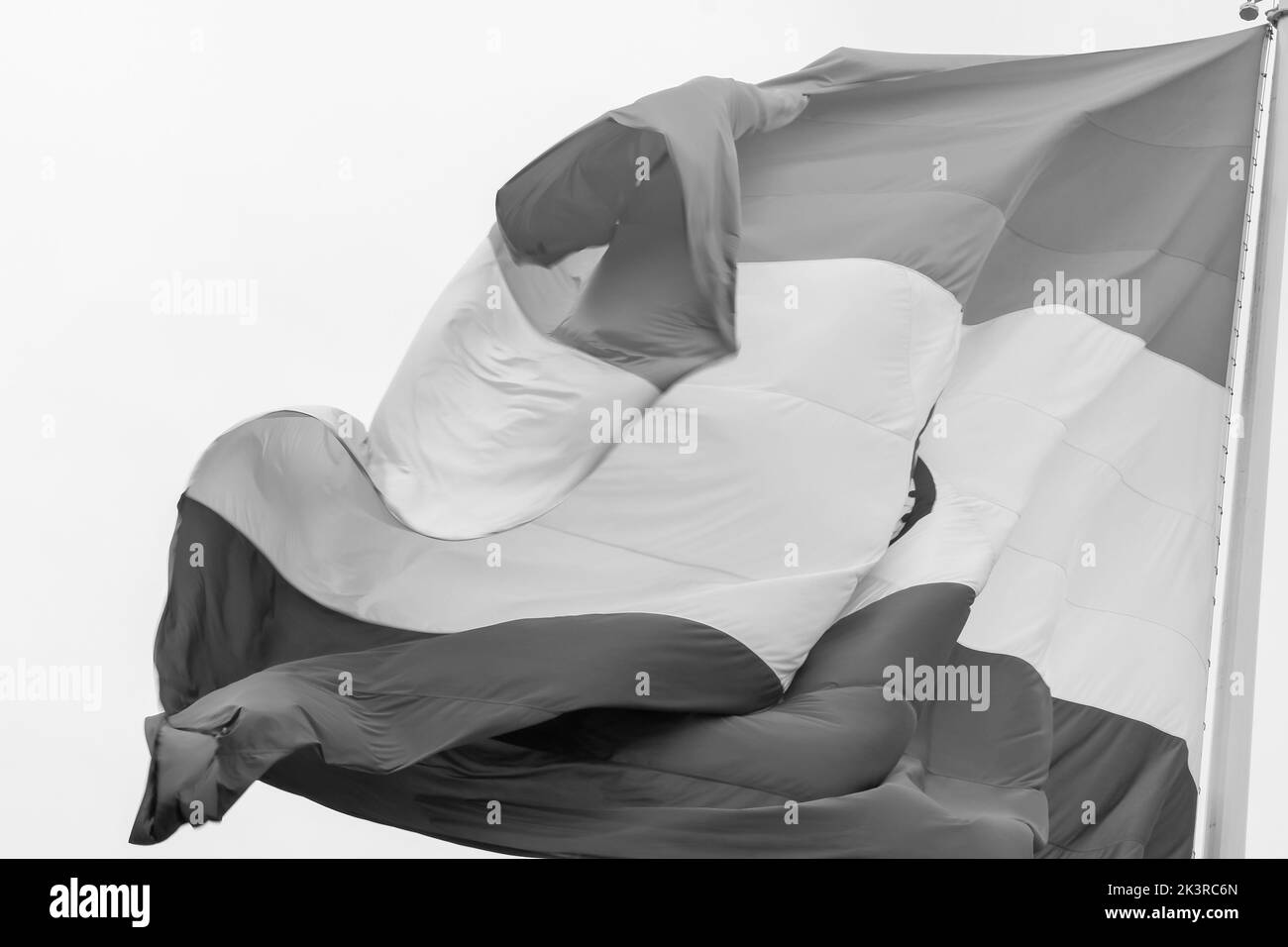 India flag waving wind background Black and White Stock Photos & Images ...