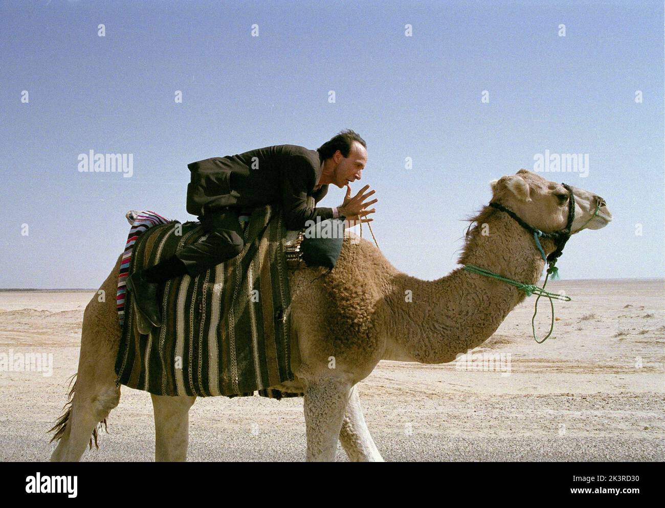 Roberto Benigini On Camel Film: The Tiger And The Snow; La Tigre E La ...