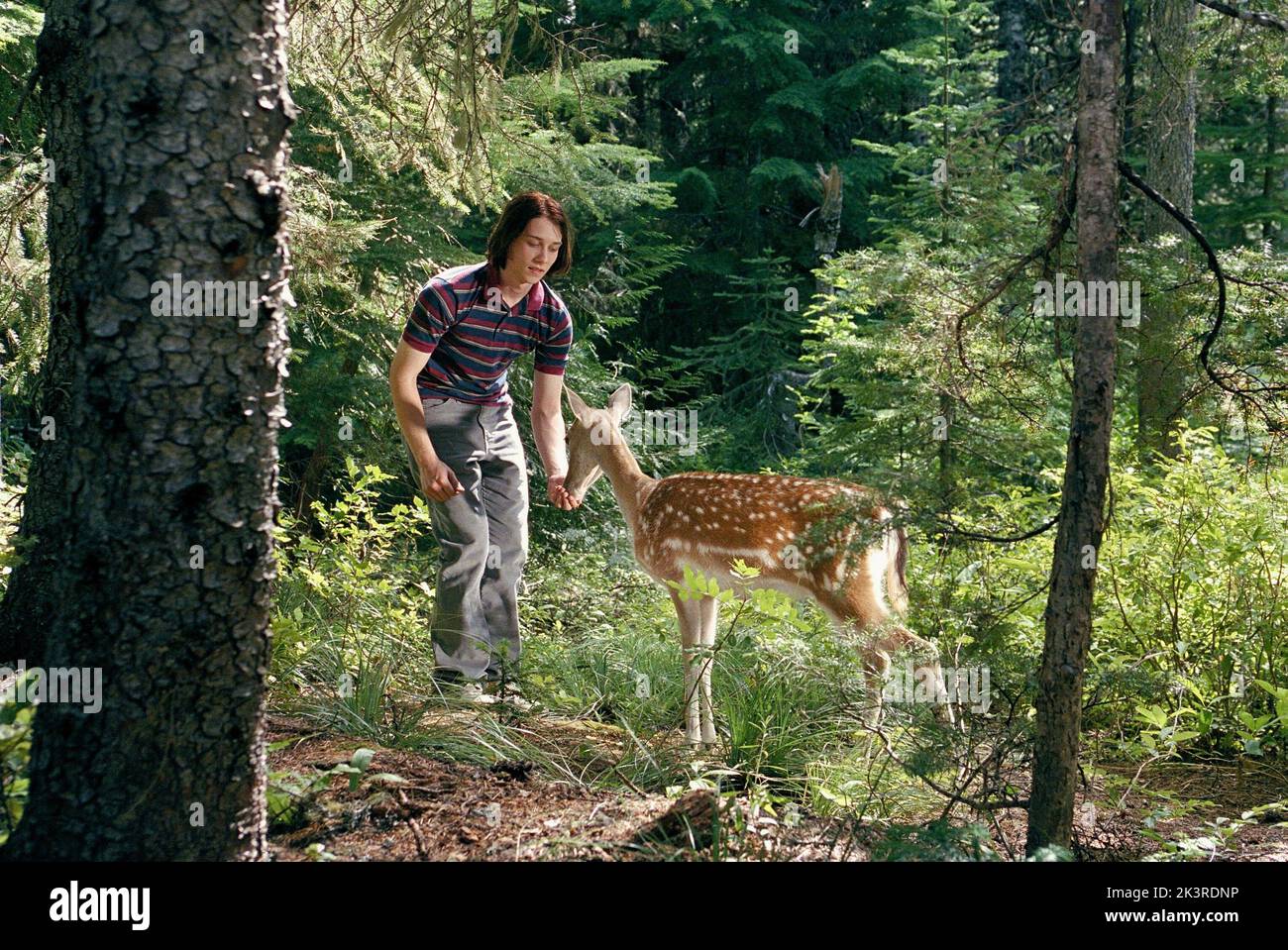 Lou Taylor Pucci & Deer Film: Thumbsucker (2005) Characters: Justin ...