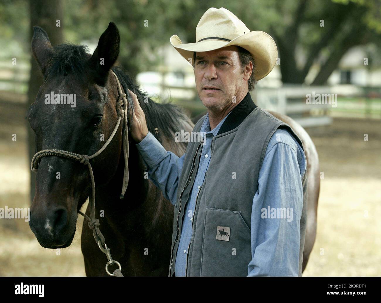 Grainger Hines Young