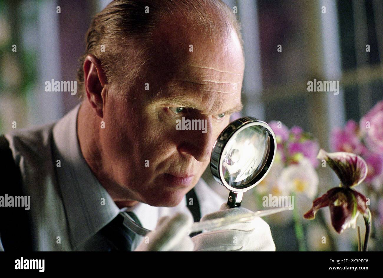 Tim piggot smith hi-res stock photography and images - Alamy