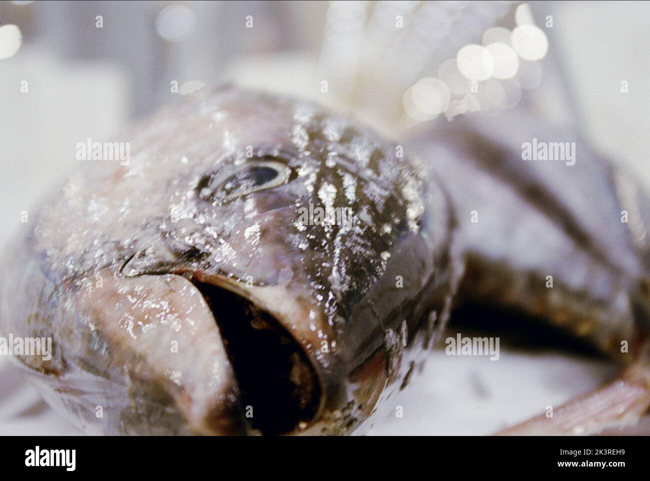 Fish Film: We Feed The World (Dokumentarfilm) At 2005, Director: Erwin ...