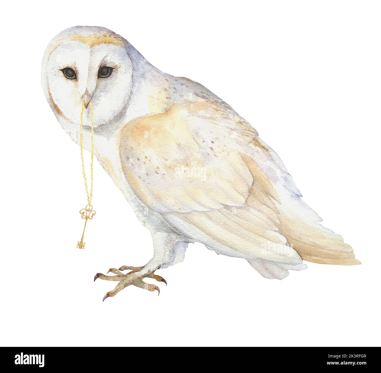Watercolor illustration of owl with key isolated Stock Photo - Alamy
