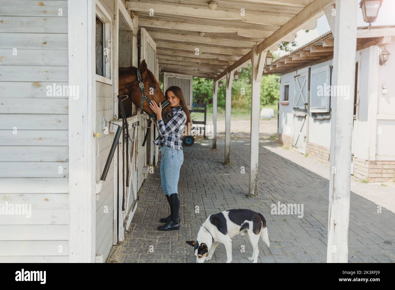 Horse trainer in stable hi-res stock photography and images - Alamy