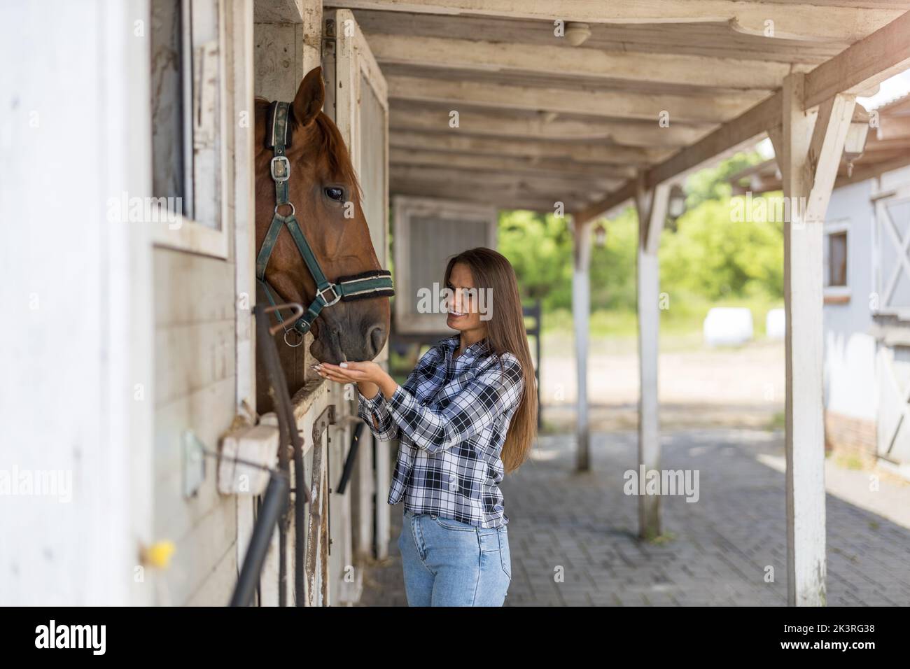 Young woman in a stable with her horse Stock Photo - Alamy