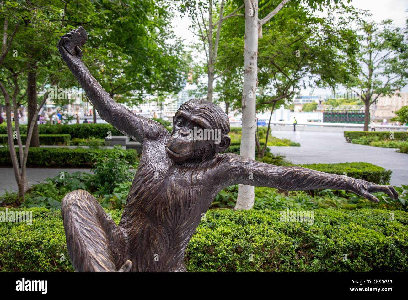 Chimpanzee statue by gillie and marc hi-res stock photography and ...