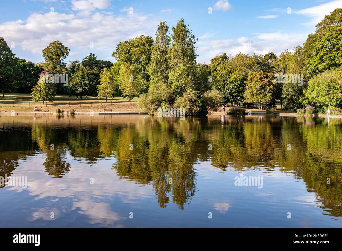 Reflections in Abington Park lake early evening, Northampton, England ...