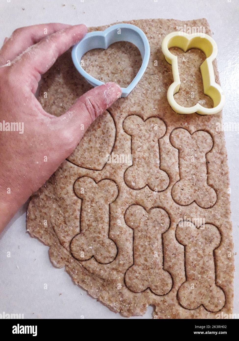 Cooking healthy snacks with natural ingredients for pets in Santa Maria ...